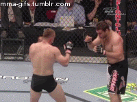 Mma ufc GIF on GIFER - by Ceginn