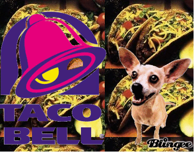 Taco bell GIF on GIFER - by Najind