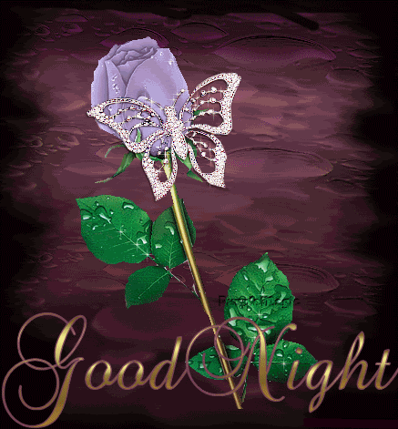 Night GIF on GIFER - by Fecage
