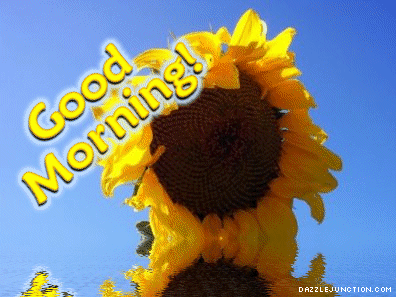 Sunny GIF on GIFER - by Kasho