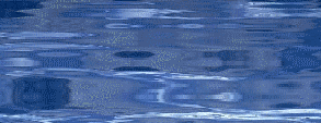 Marine biology GIF on GIFER - by Mataxe