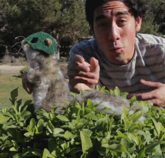 Snoopy peanuts halloween GIF on GIFER - by Colsa