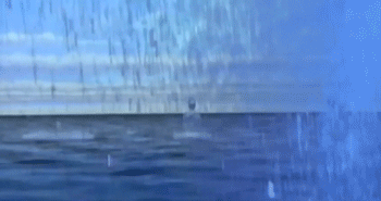 Movies tlc cgi GIF on GIFER - by Landanius