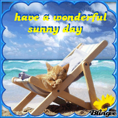 Sunny GIF on GIFER - by Darkcaster