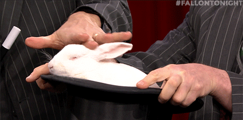 Celebs magic GIF on GIFER - by Nikinos