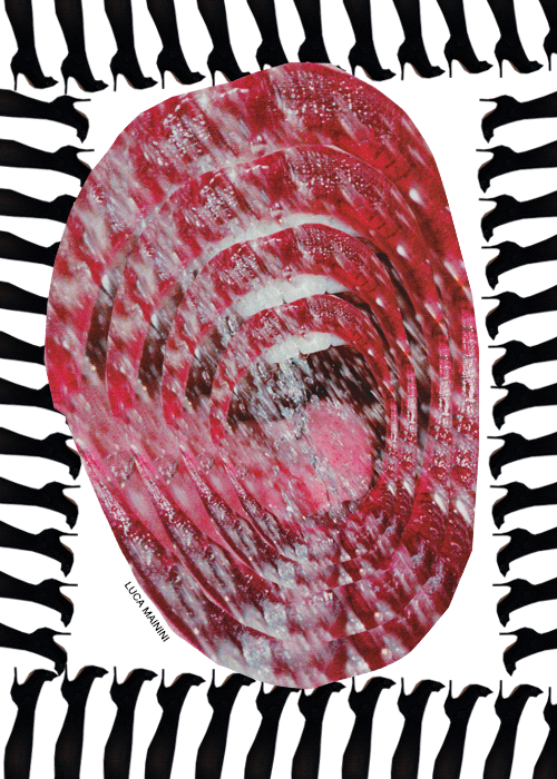 GIF luca mainini - animated GIF on GIFER - by Ararana