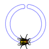 Stream cinemagraph autumnal GIF on GIFER - by Modintrius