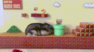 Vs mario hamster GIF on GIFER - by Zulkikinos