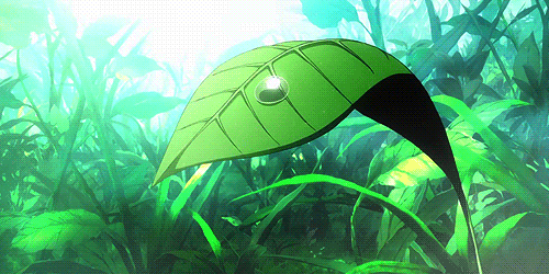 Forest GIF on GIFER - by Buzagelv