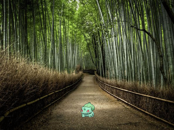 Forest GIF on GIFER - by Moogugami