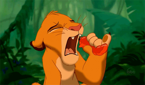 Simba disney cartoon GIF on GIFER - by Mam