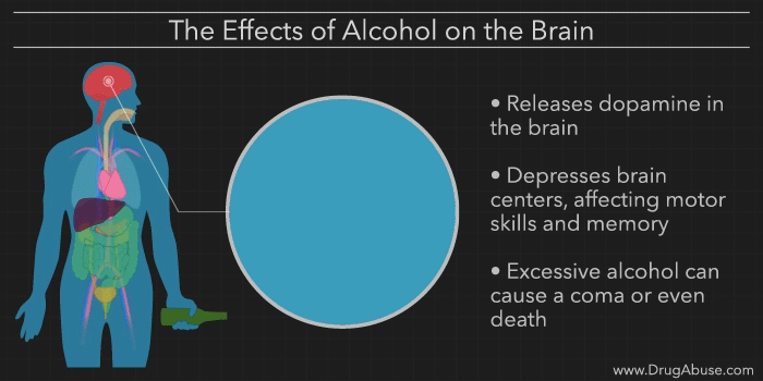 GIF alcohol - animated GIF on GIFER - by Dugore
