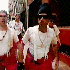 Gordon setter dog dogs GIF on GIFER - by Akirr