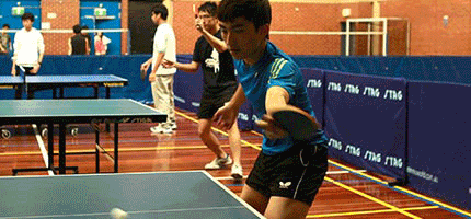 GIF table tennis - animated GIF on GIFER - by Opilanim
