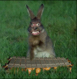 Rabbit weird creepy GIF on GIFER - by Felkree