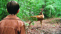 Ip man kung fu karate GIF on GIFER - by Spellpick