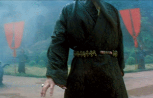 GIF qigong wuxia storm riders - animated GIF on GIFER - by Zolokinos