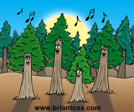 GIF forest bosque floresta - animated GIF on GIFER - by Cera