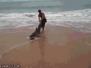 Gif De Beber En La Playa Cristian Tarzi