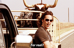 Gif De Jason Isaac Et Lucius Malfoy In Harry Potter And The Chamber Of