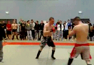 GIF mma - animated GIF on GIFER - by Muzuru