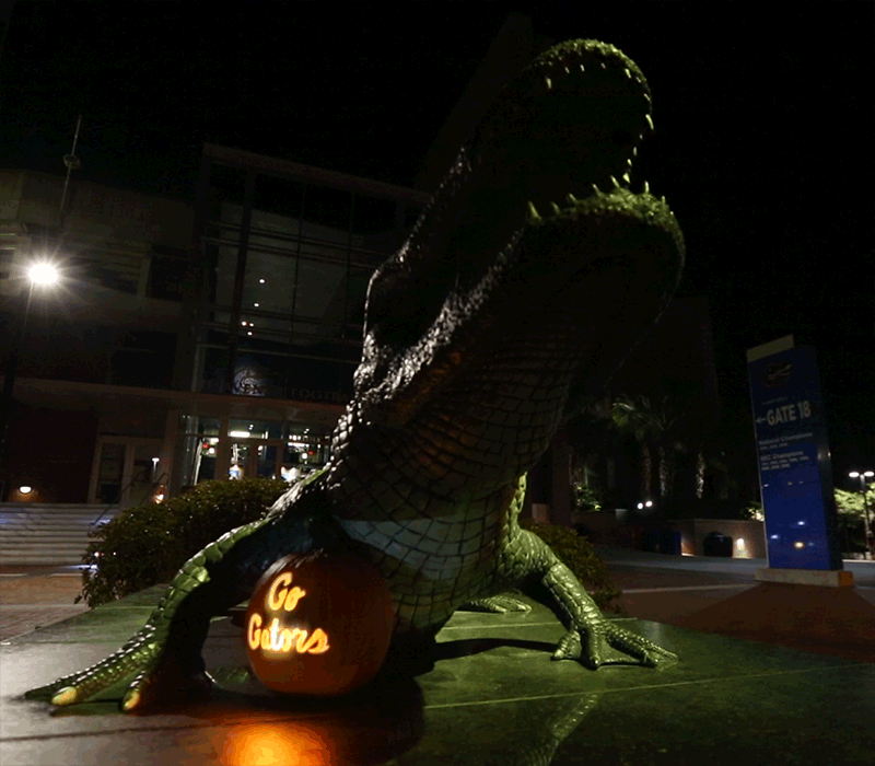 Halloween florida gator GIF on GIFER - by Visida