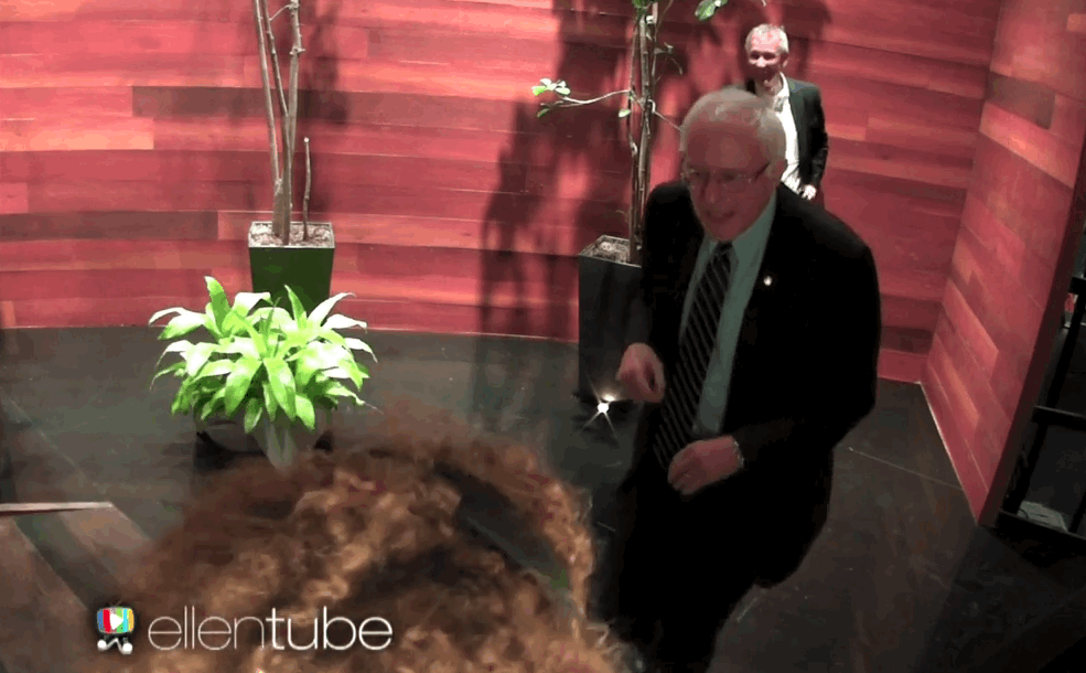 Ellen GIF on GIFER - by Aunn