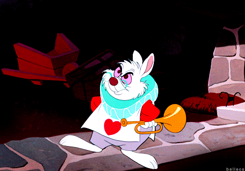 Rabbit GIF on GIFER - by Dusho