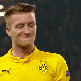 Marco reus mr GIF on GIFER - by Cowyn