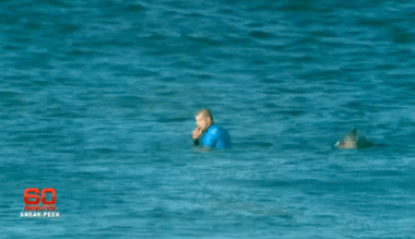 Drake help GIF on GIFER - by Megis