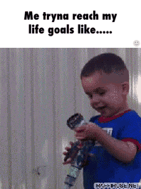Life goal GIF on GIFER - by Tygokora