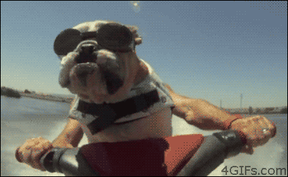 Cool GIF on GIFER - by Gulkis