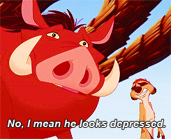 GIF timon - animated GIF on GIFER - by Arashiran