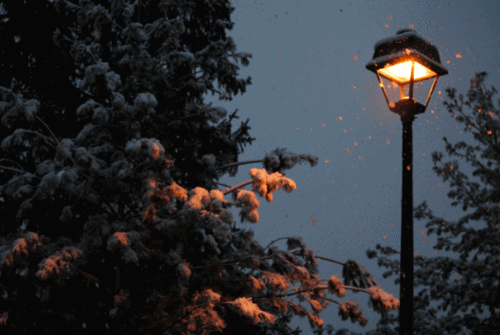 GIF nature snow white - animated GIF on GIFER - by Adrie