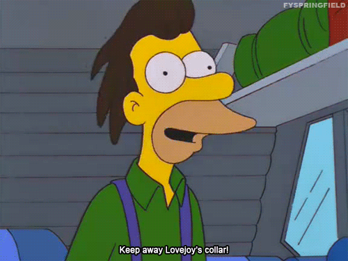From The Simpsons Lenny