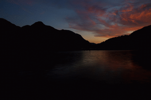 GIF top 7 - animated GIF on GIFER - by Nikogrel