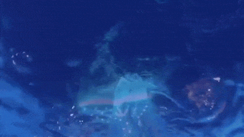 Mermaid GIF on GIFER - by Cera