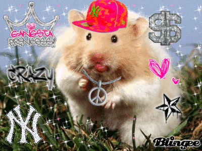 Hamster GIF on GIFER - by Mikabei