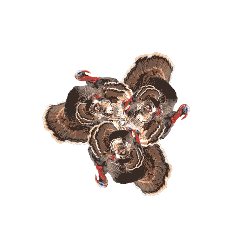 Food popular thanksgiving GIF on GIFER - by Aralas