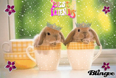 Rabbit GIF on GIFER - by Mezikora