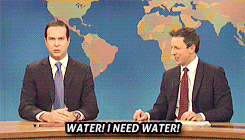 GIF seth meyers marco rubio snl - animated GIF on GIFER - by Felmaran