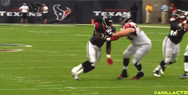 Nfl texas houston GIF on GIFER - by Perirdin