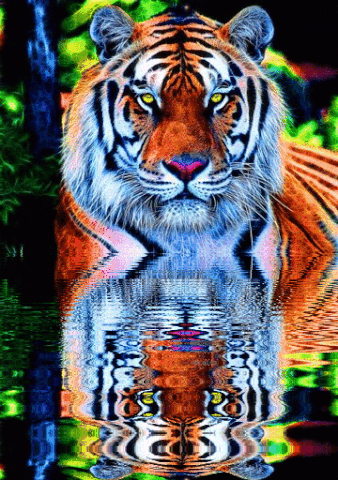 Spirit animal GIF on GIFER - by Yggnis