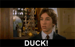 GIF duck real genius - animated GIF on GIFER - by Morg