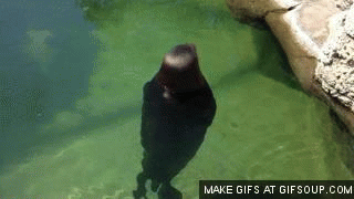GIF spinning - animated GIF on GIFER - by Bawield