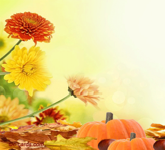 Thanksgiving GIF on GIFER - by Anarakus