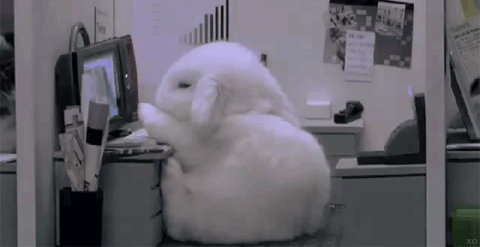 Rabbit GIF on GIFER - by Tholune