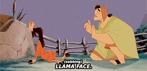 Llama the emperors new groove GIF on GIFER - by Daishura