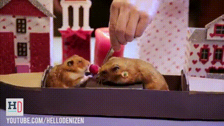 Hamster GIF on GIFER - by Mnegas