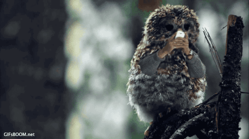 Working text phone GIF on GIFER - by Rexterror